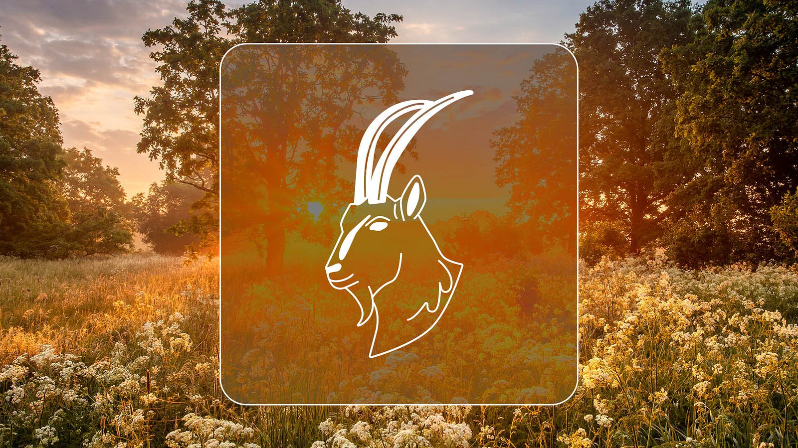 Die Glückstage im September 2024 für das Sternzeichen Steinbock | Astrowoche