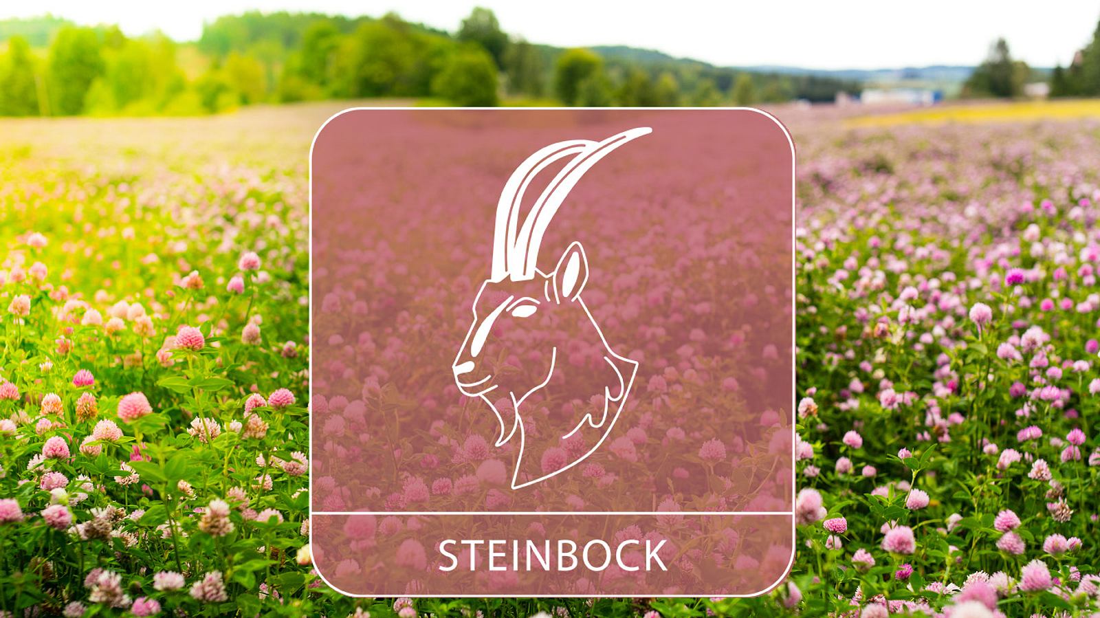 Das große Horoskop zum Frühlingsanfang 2024: Sternzeichen Steinbock | Astrowoche