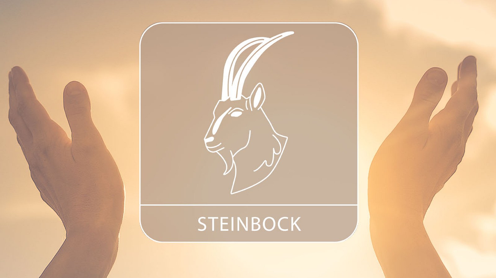 Das Horoskop zum August-Happy-End ab dem 26.08.24: Sternzeichen ...