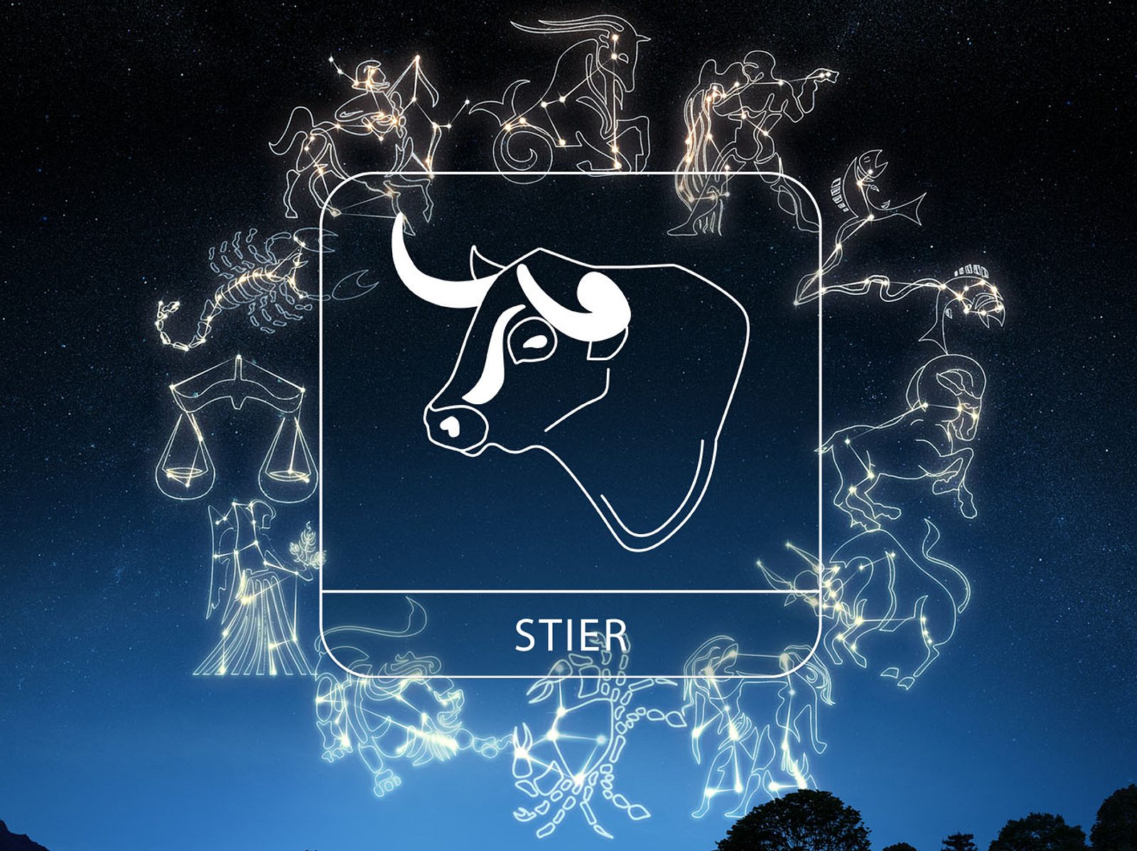 Michael Allgeier Jahreshoroskop 2025: Sternzeichen Stier | Astrowoche