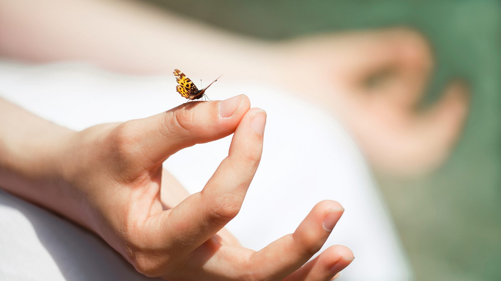 Ihr Mantra des Tages für die neue Woche vom 8. bis 14. April 2024 ...