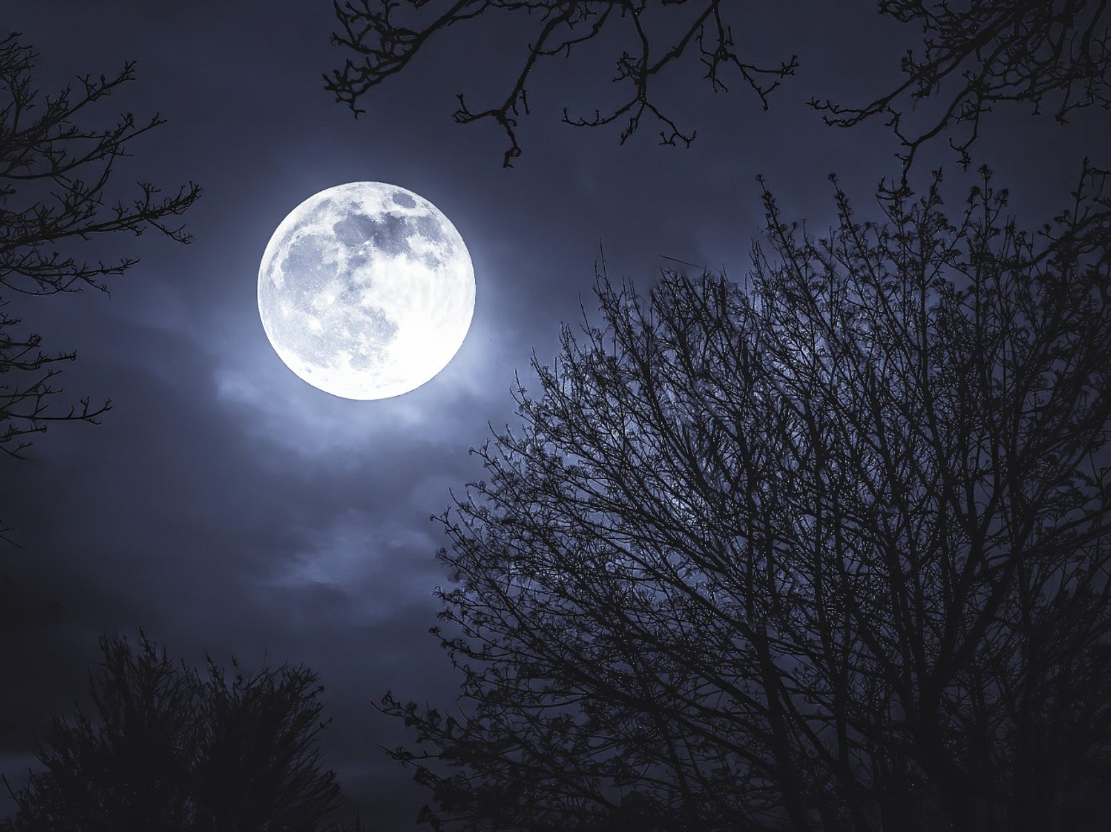 Das magische Mond-Mantra für die Woche vom 16. bis 22. Januar 2023 ...