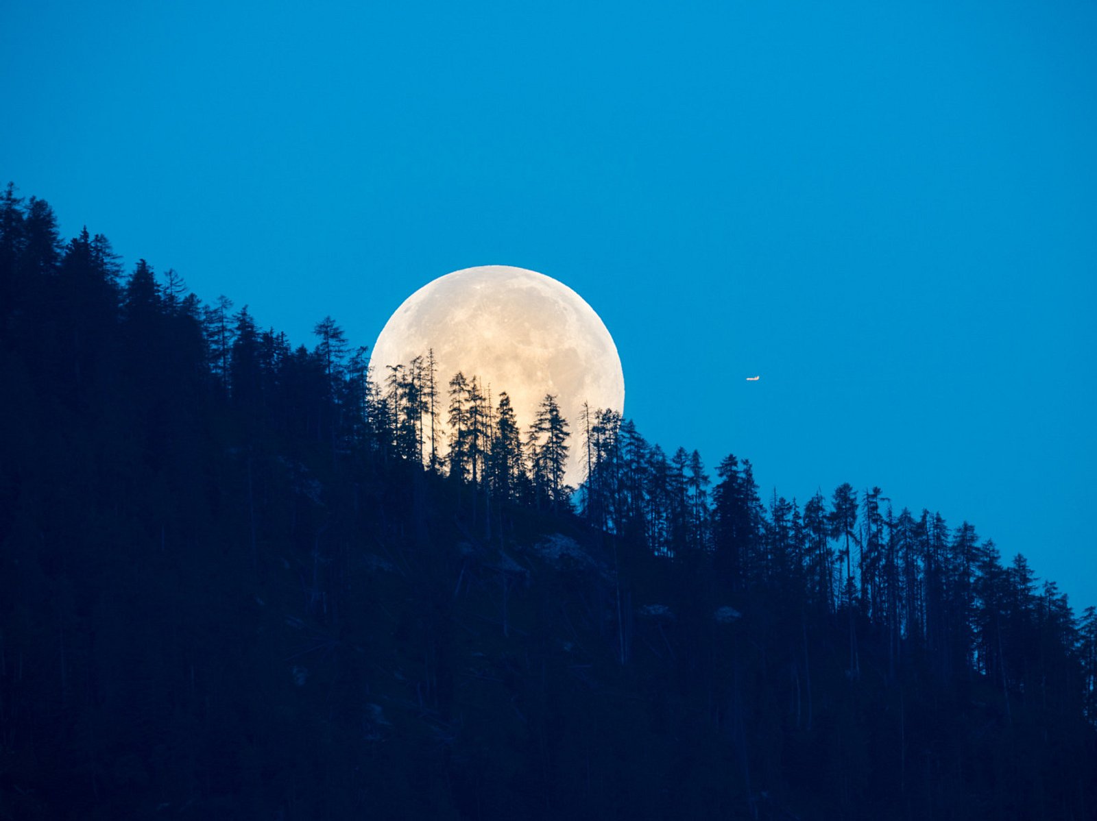 Das persönliche Mond-Mantra für die Woche vom 8. bis 14. August 2022 ...