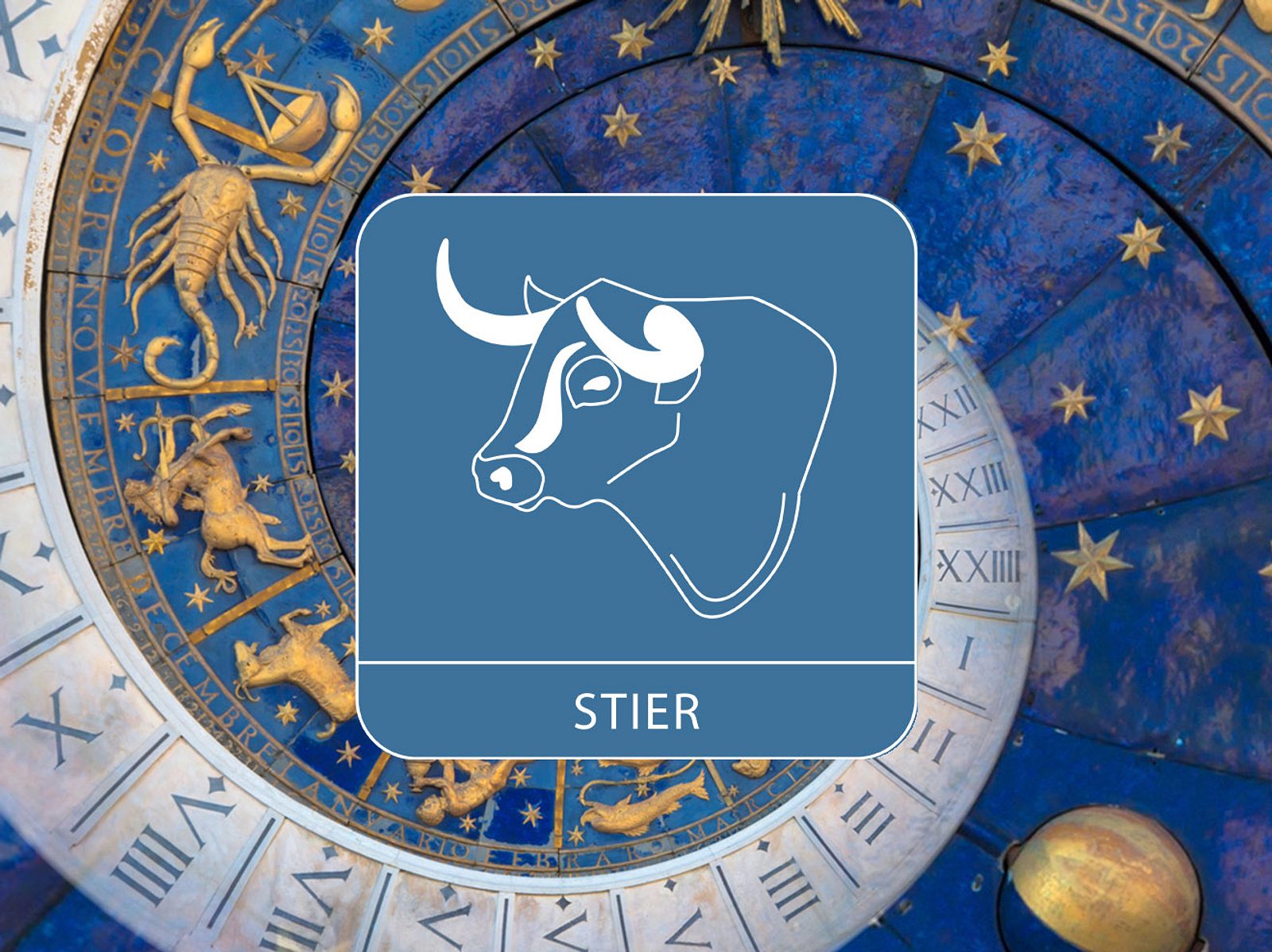 Das Partnerhoroskop für Oktober 2022: Sternzeichen Stier | Astrowoche