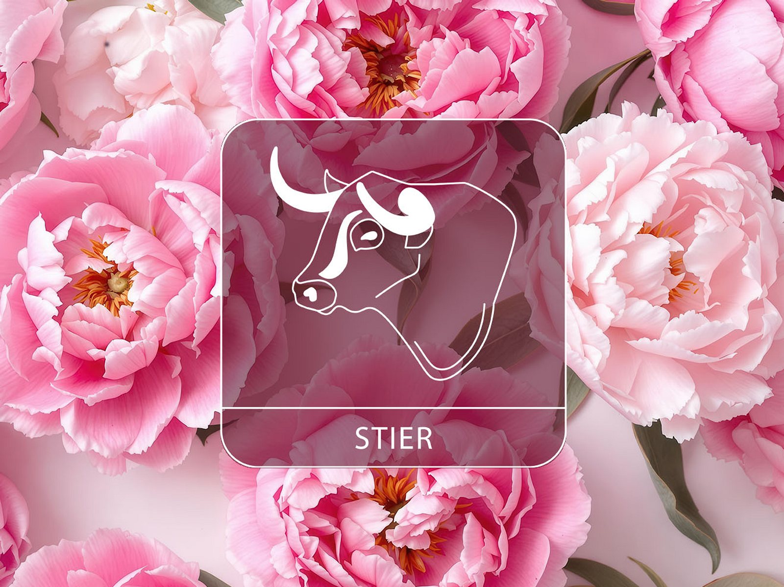 Das große Pfingst-Horoskop 2025: Sternzeichen Stier | Astrowoche