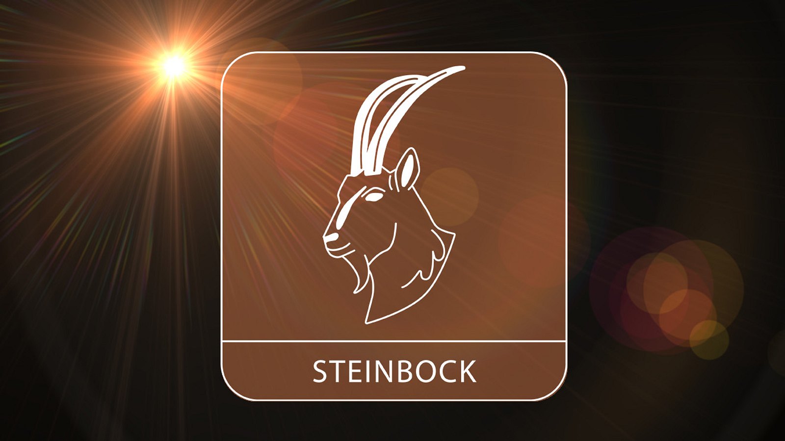Das Sonnenfinsternis-Horoskop ab dem 8. April 2024 für das Sternzeichen Steinbock | Astrowoche