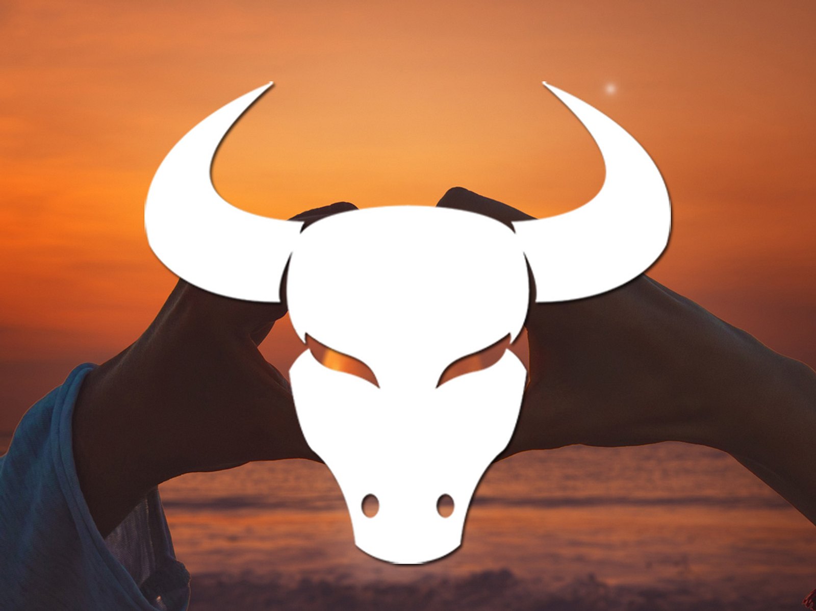 Seelenpartner-Horoskop: Klarsicht und Mut für den Stier | Astrowoche