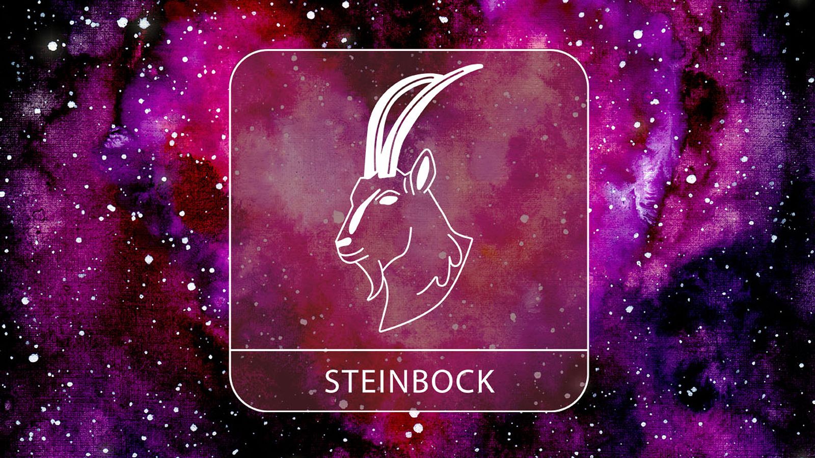 Das Horoskop der drei Glückssterne ab 05.08.24: So nutzt der Steinbock seine Liebeschancen ...