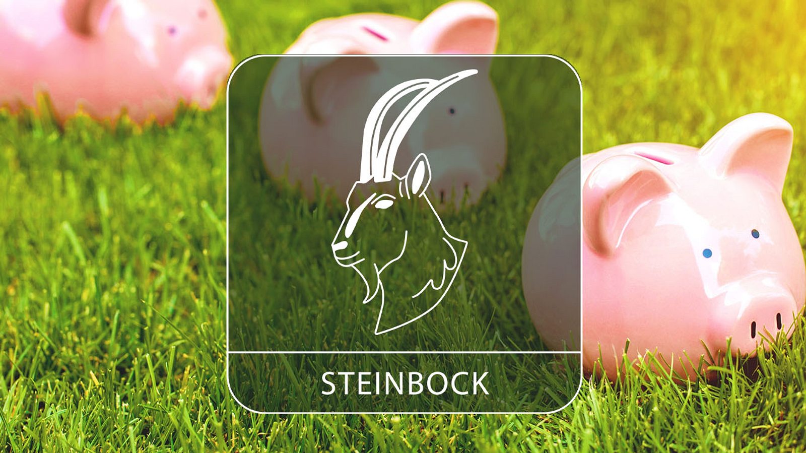 Das große Sommer-Geld-Horoskop 2024: Die besten Geldtage für das Sternzeichen Steinbock | Astrowoche