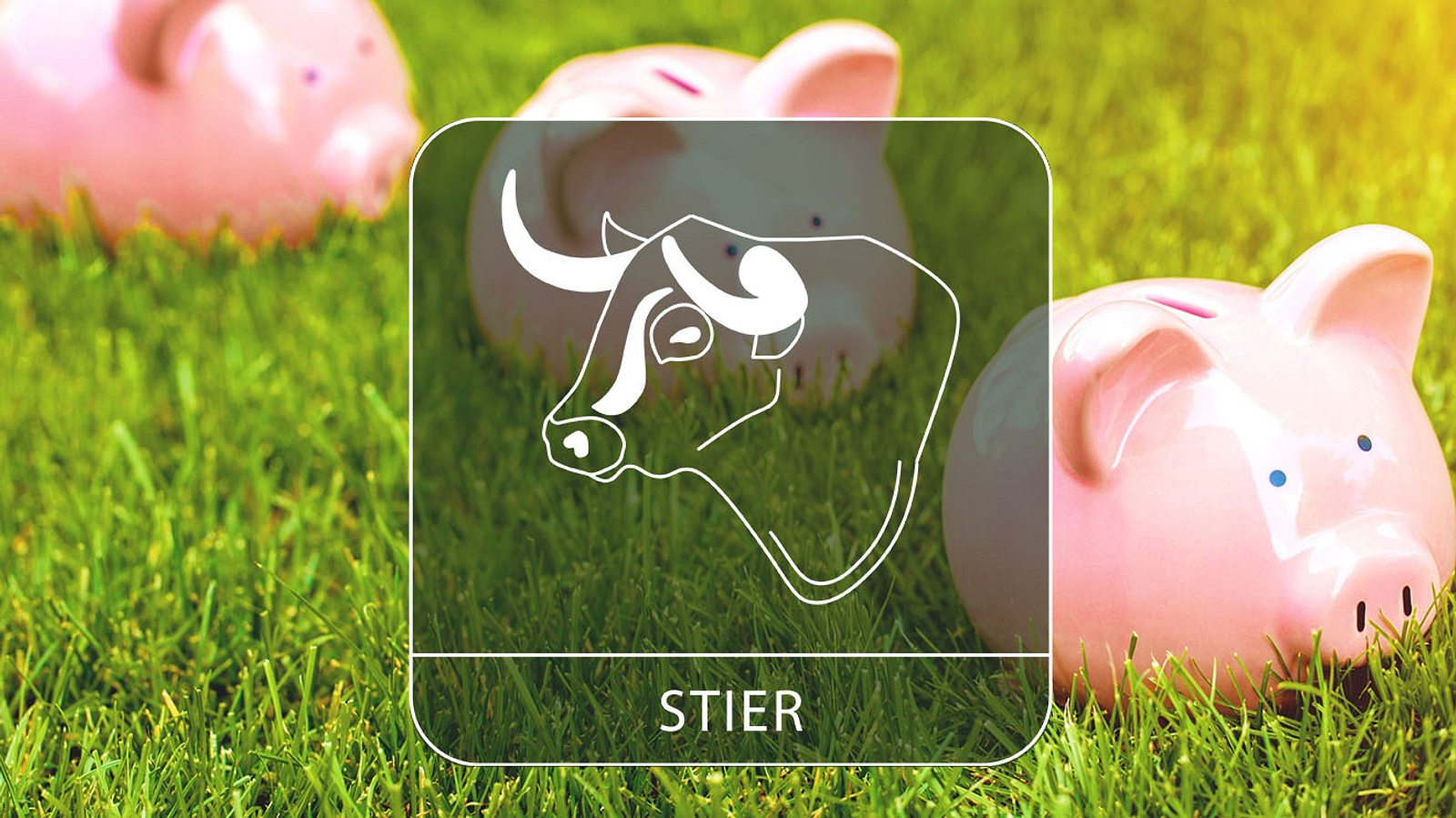 Das große Sommer-Geld-Horoskop 2024: Die besten Geldtage für das Sternzeichen Stier | Astrowoche