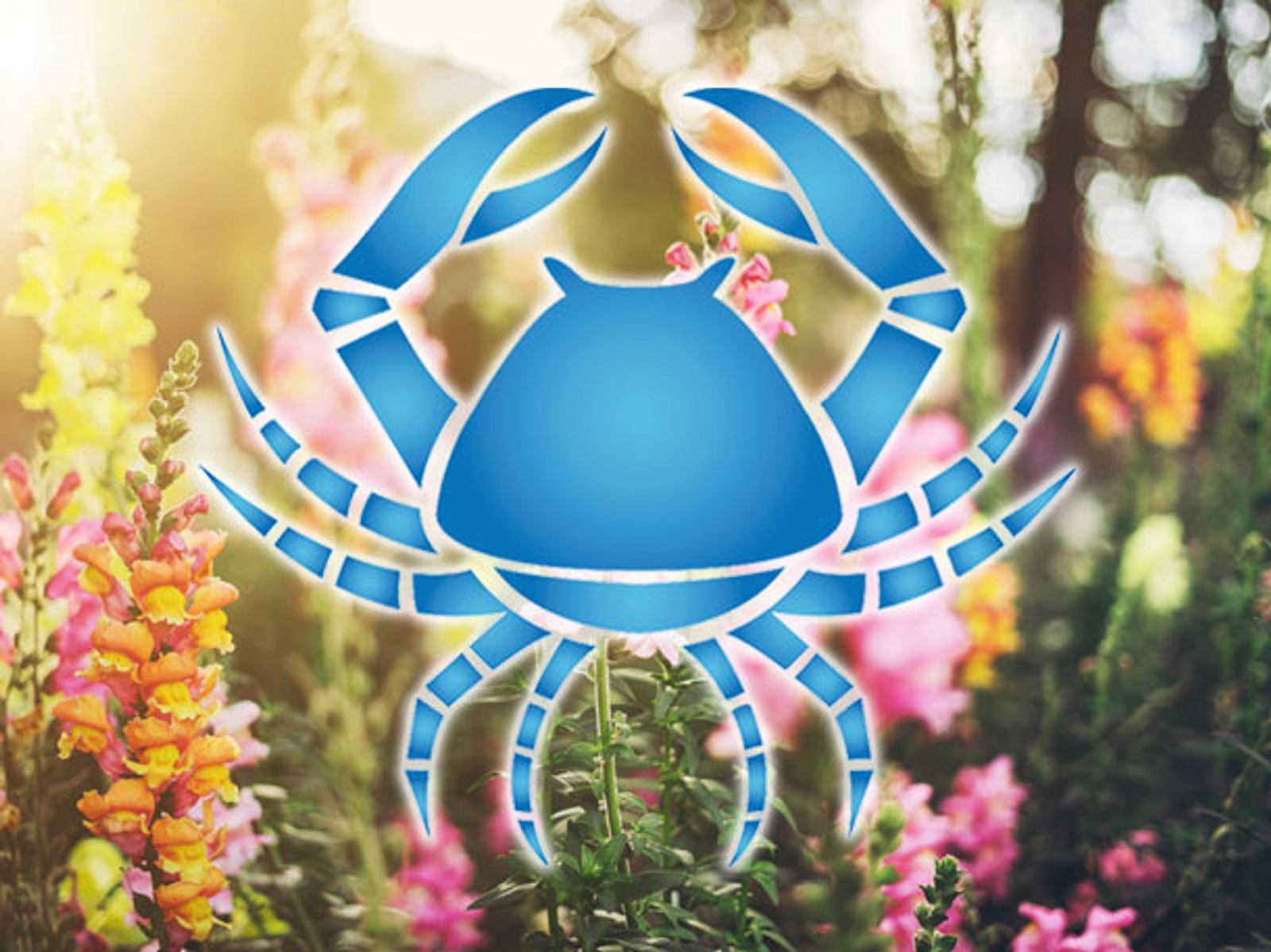 Das Sommer-Horoskop 2019 für das Sternzeichen Krebs | Astrowoche
