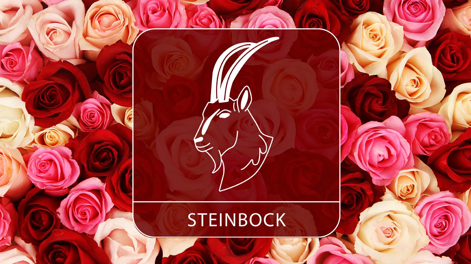 Das Valentinstags-Horoskop 2024 für das Sternzeichen Steinbock | Astrowoche