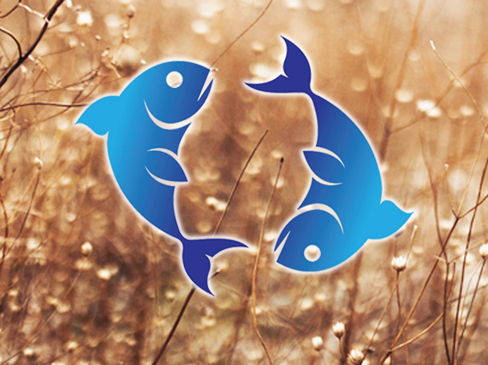 Venus In Fische