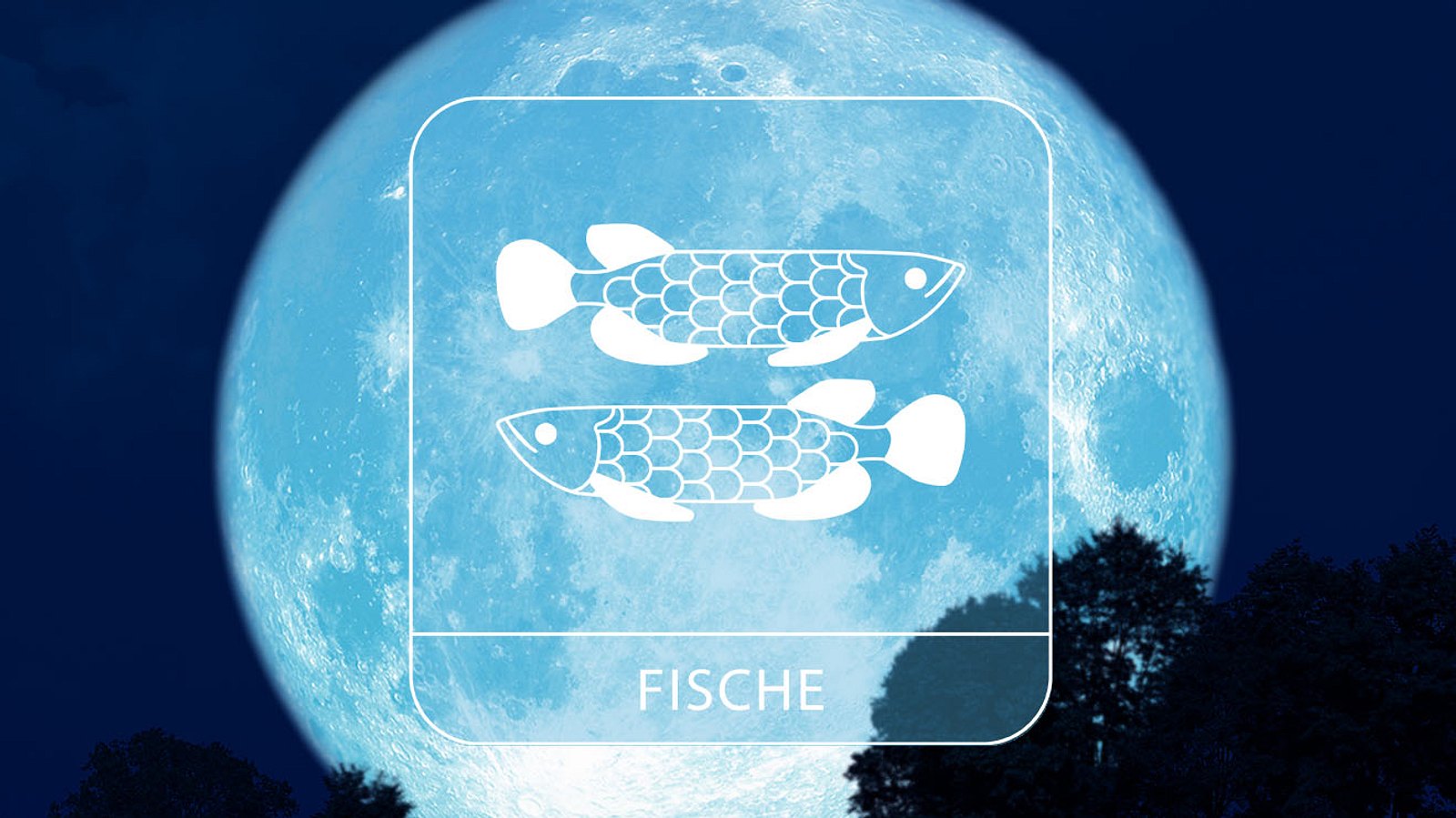 Das Vollmond-Horoskop für die Woche ab dem 16.09.24: Sternzeichen Fische | Astrowoche