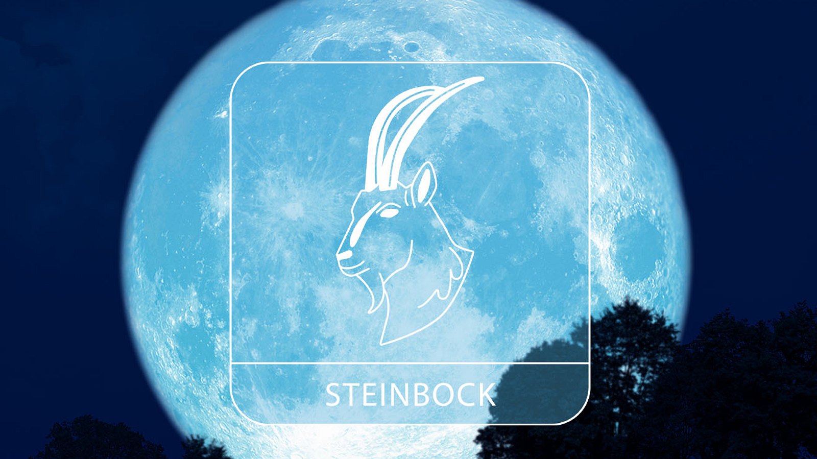 Das Vollmond-Horoskop für die Woche ab dem 16.09.24: Sternzeichen Steinbock | Astrowoche