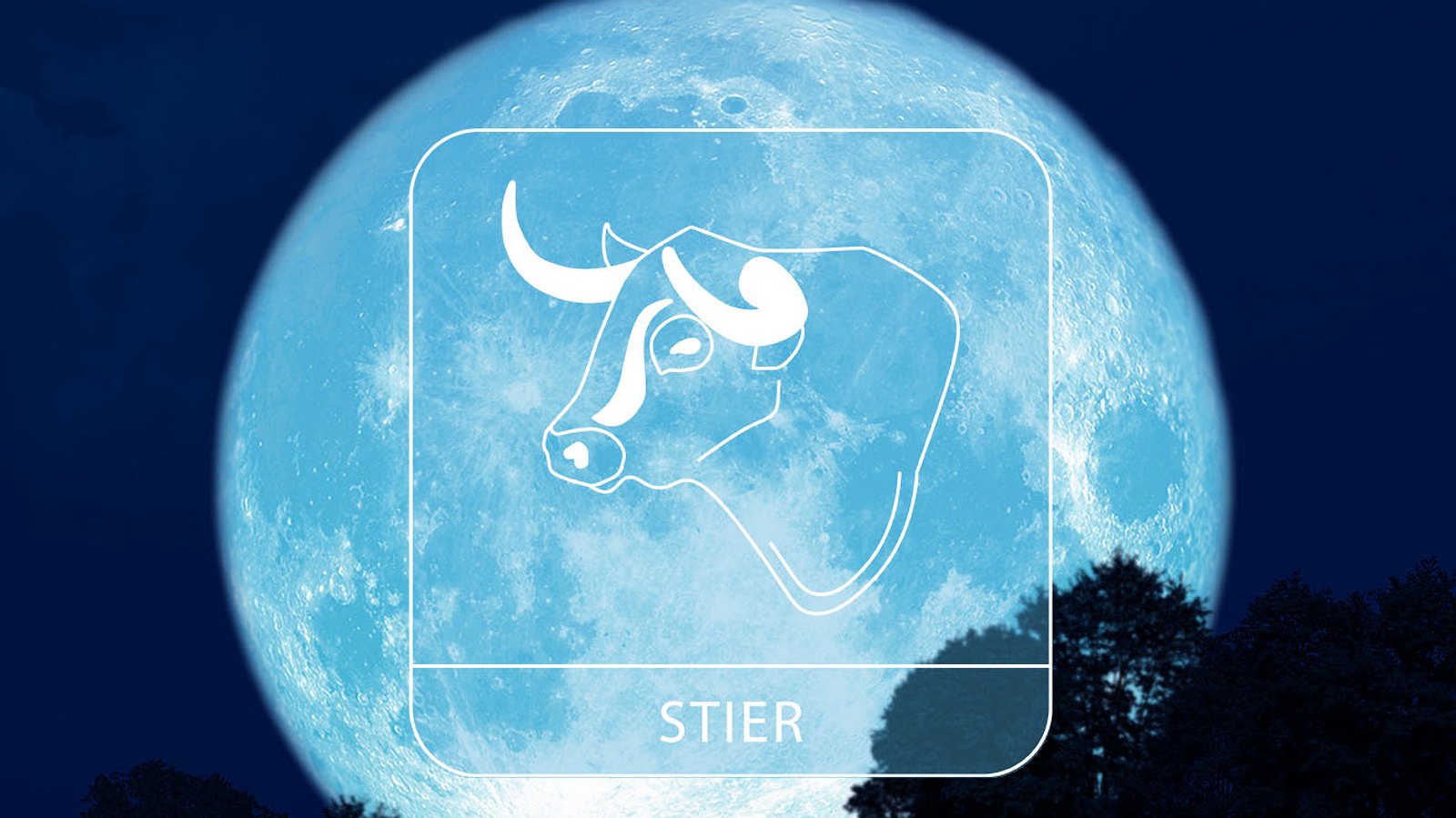Das Vollmond-Horoskop für die Woche ab dem 16.09.24: Sternzeichen Stier | Astrowoche