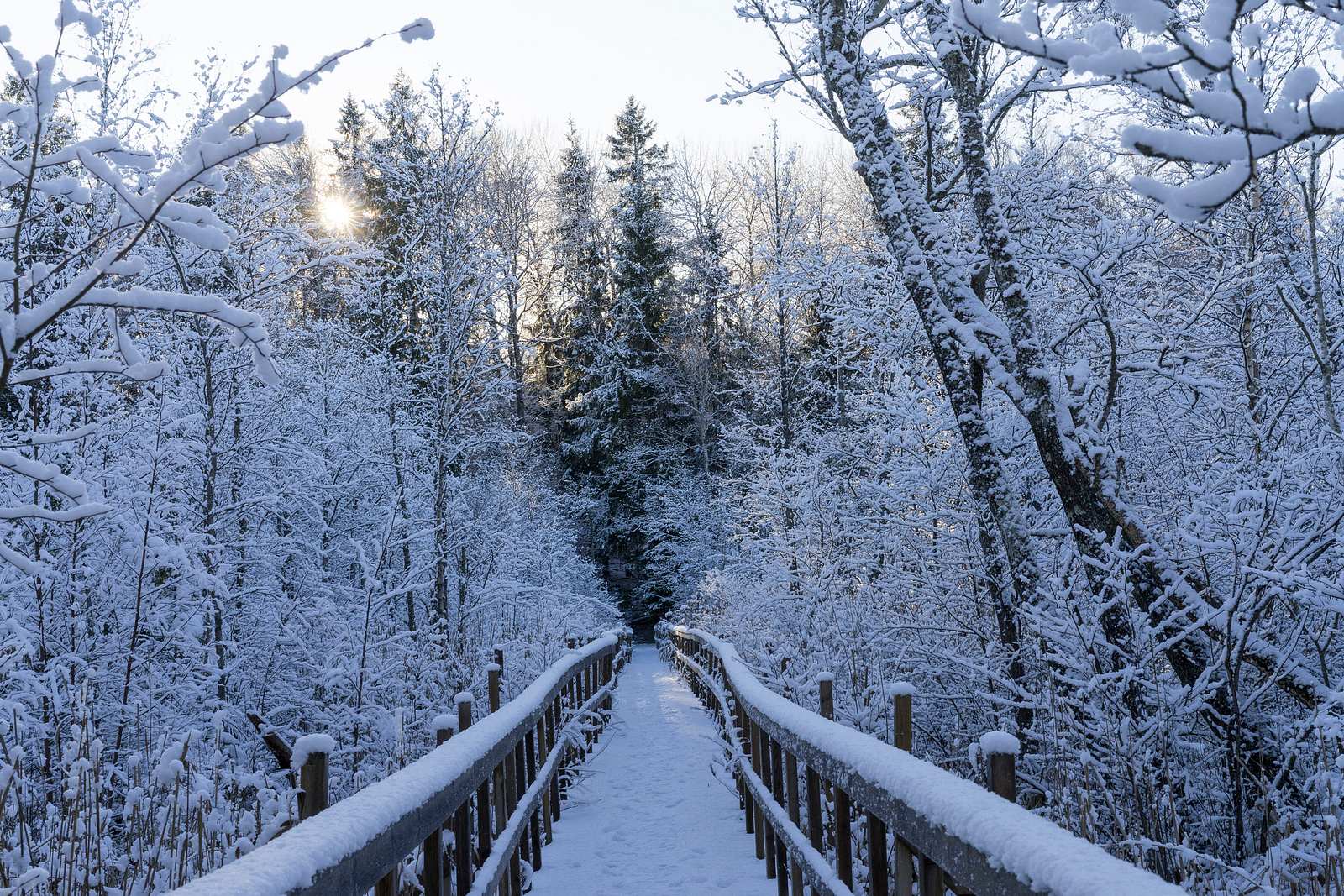 Das große Winterhoroskop bis 20. März 2025: Liebe, Beruf & Gesundheit ...