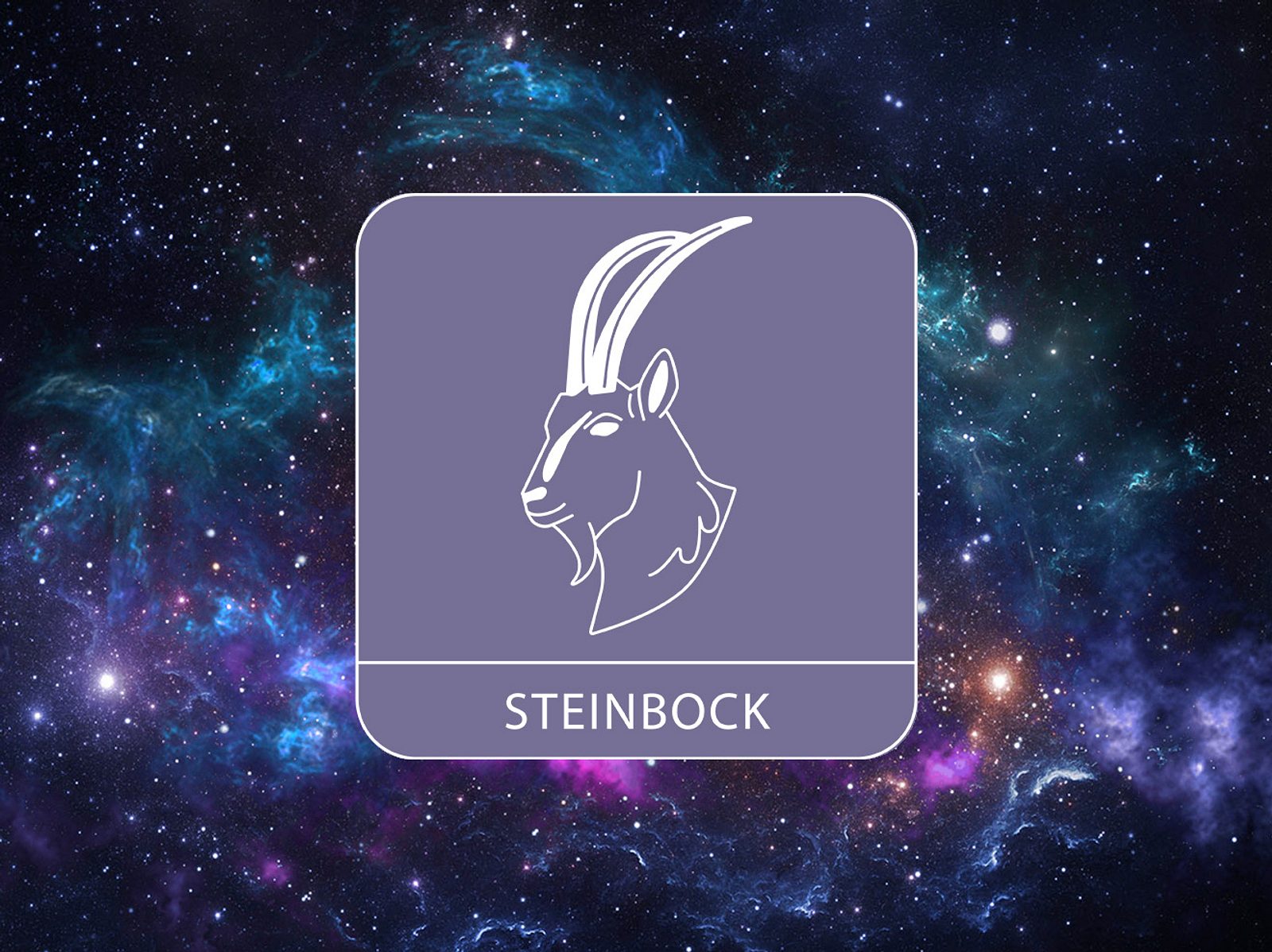 Steinbock Marz 2023